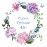 Садовод Гортензий (Very Voloshinoy Street No:73А), fidan yetiştiriciliği  Mytişçi'den