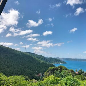 Çam Vadisi (İstanbul, Beykoz, Anadolu Kavağı Mah., Feneryolu Cad., 12), kafe  İstanbul'dan