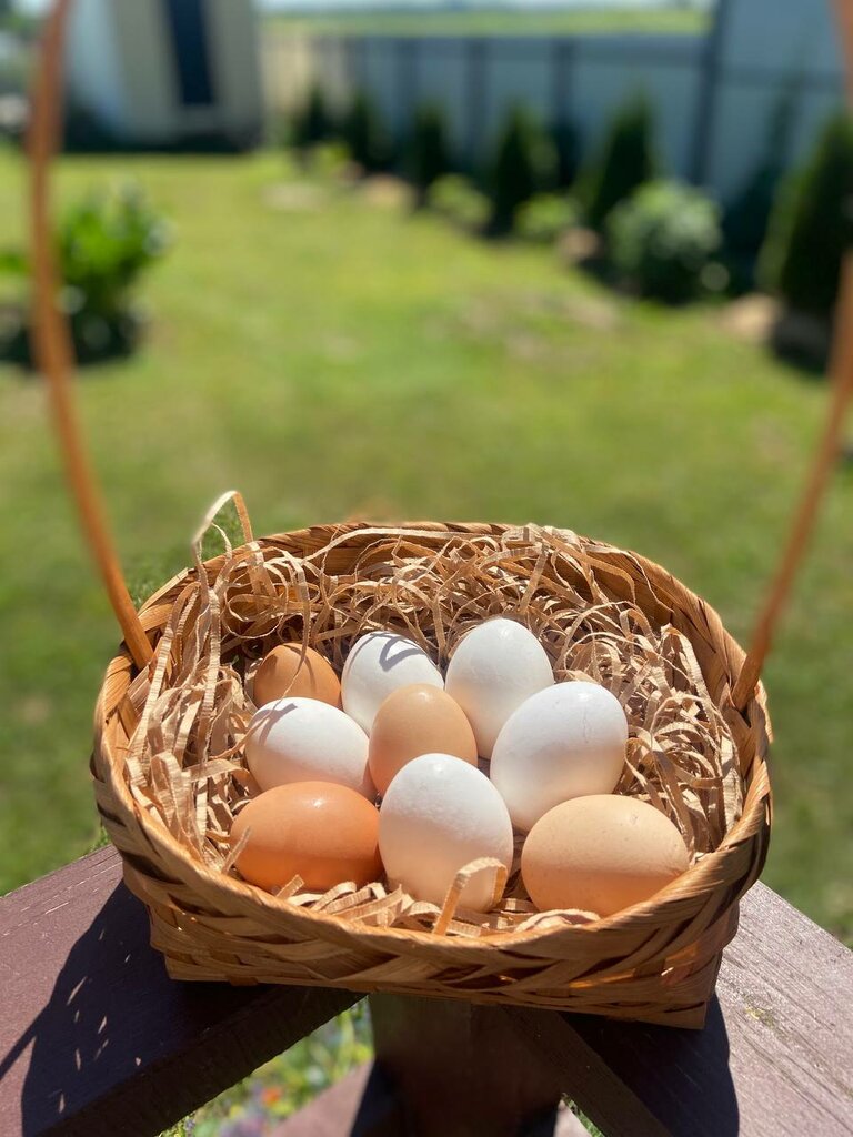 Tarım firmaları Farm, Saint‑Petersburg ve Leningradskaya oblastı, foto