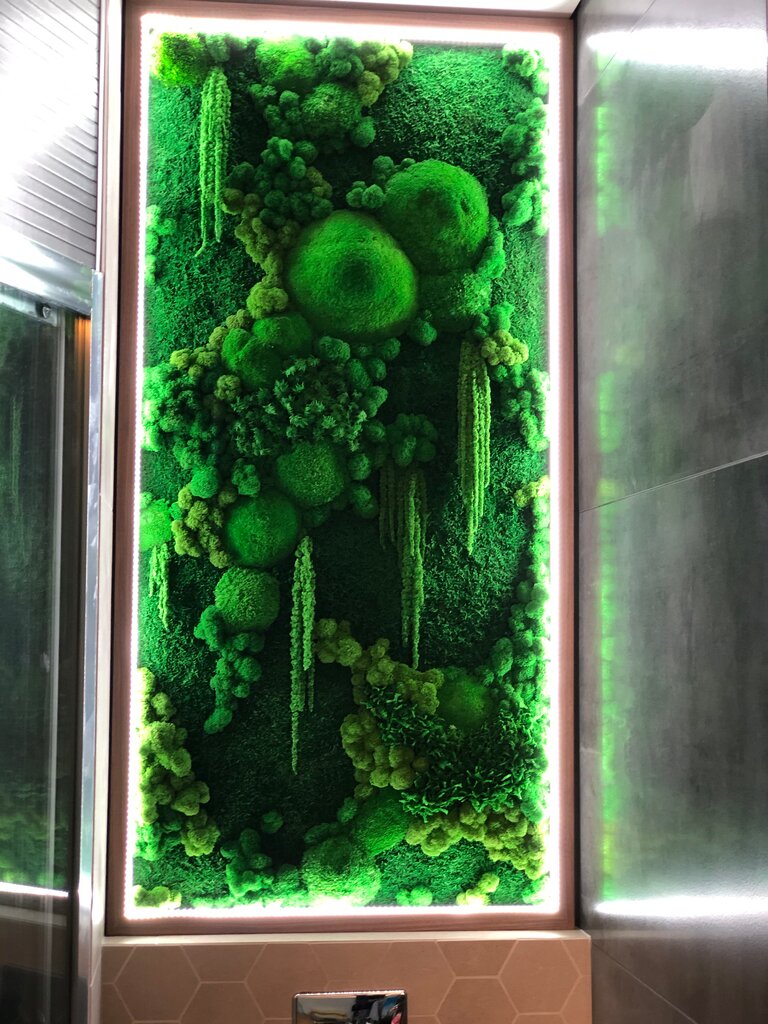 Çevre peyzaj hizmetleri Evergreens22, Barnaul, foto
