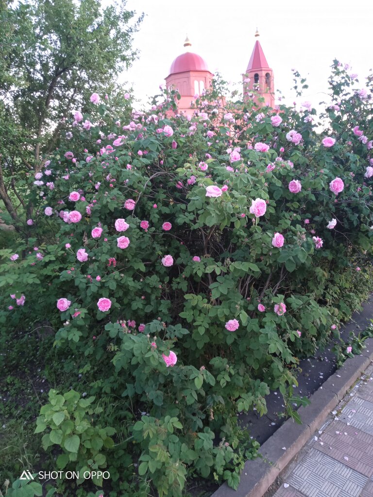Ortodoks kiliseleri Церковь Архангела Михаила, Belgorodskaya oblastı, foto