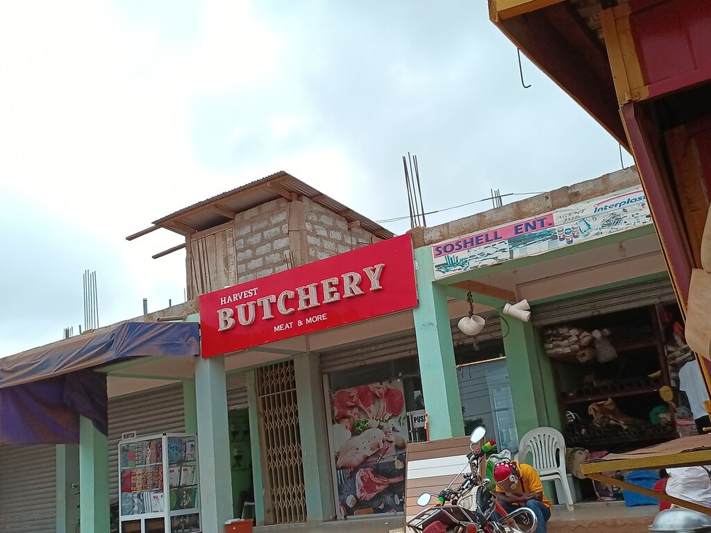 Kasap, şarküteri Harvest Butchery, Dünya, foto