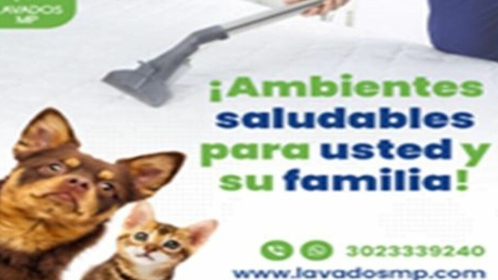 Temizlik şirketleri MP Sabaneta Furniture and Carpet Wash, , foto