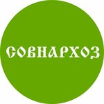 Sovnarkhoz (Krasniy Avenue No:82), belediyeler, devlet daireleri  Novosibirsk'ten