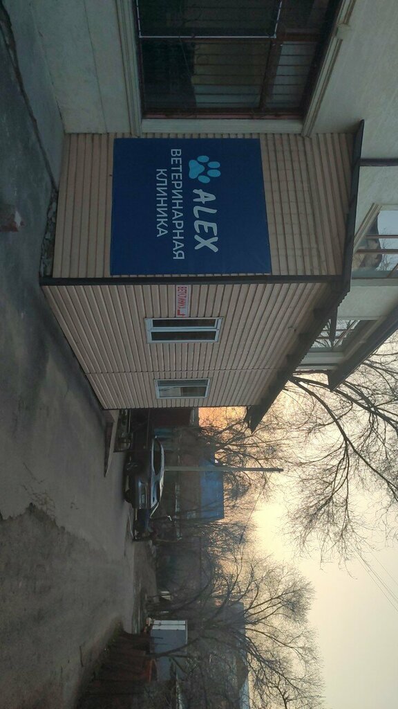 Veteriner klinikleri Alex, Kaskelen, foto