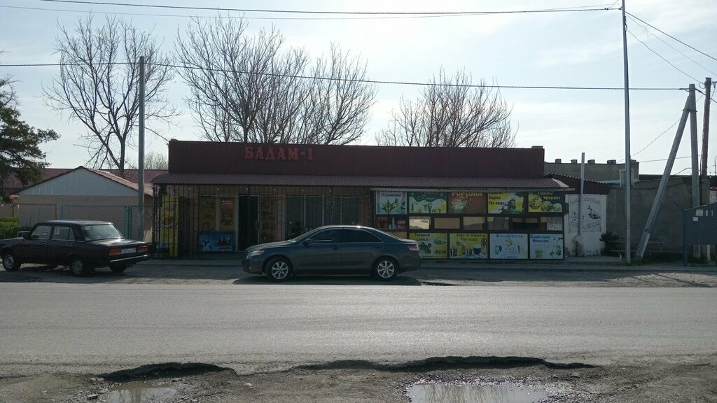 Dondurmacılar Badam, Çimkent (Şımkent), foto
