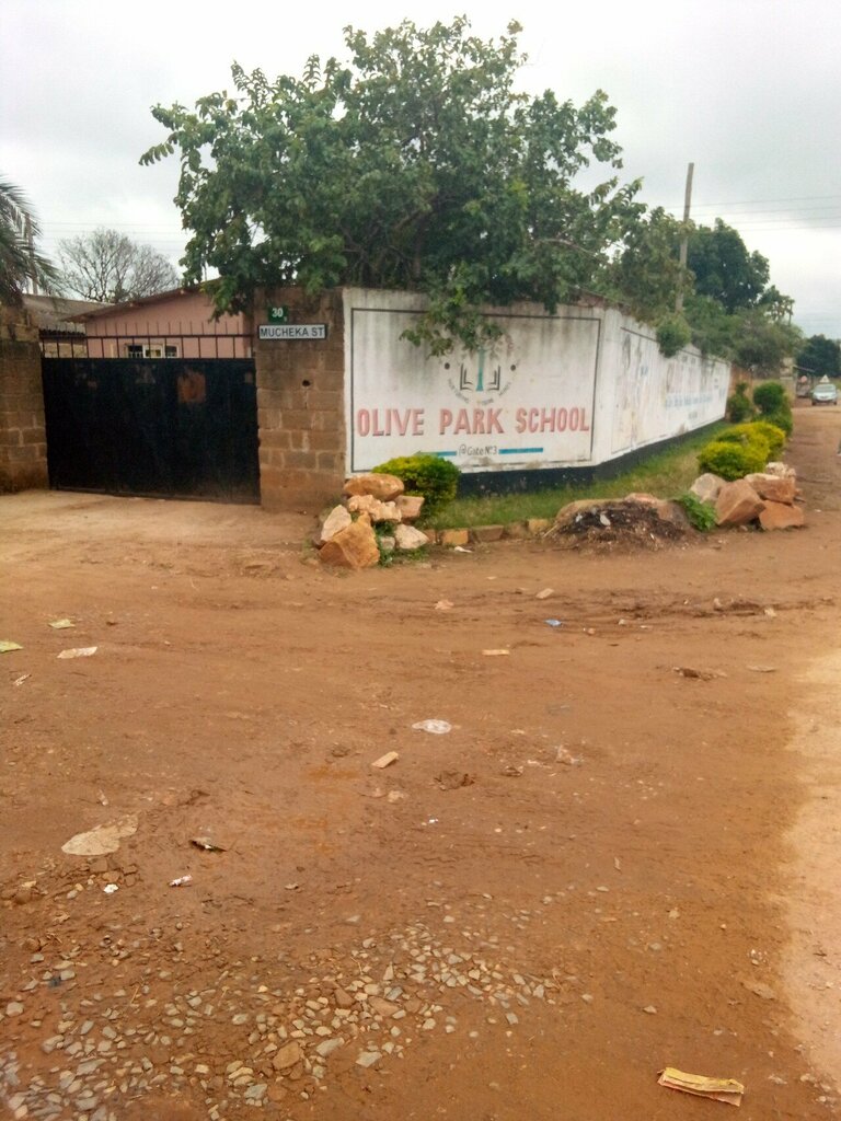 i̇lkokul Olivie Park School, Lusaka, foto