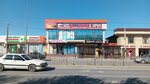 Dara LogoKids (Ernazarov kóshesі No:62), konuşma terapistleri  Çimkent'ten (Şımkent'ten)