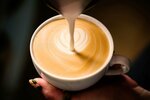 El Cafe (Polimernaya Street No:8), kahve dükkanları  Moskova'dan