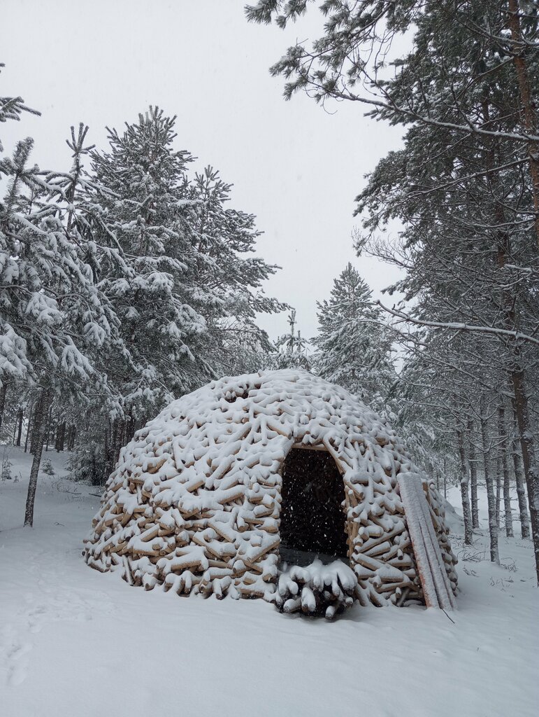 Piknik alanı Место для пикника, Novgorodskaya oblastı, foto