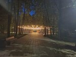 Амфитеатр (Lipetsk, Bykhanov Sad Park), sahne  Lipetsk'ten