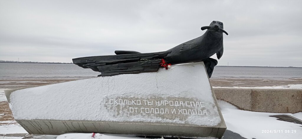 Park, sokak heykeli Тюлень, Arhangelsk, foto