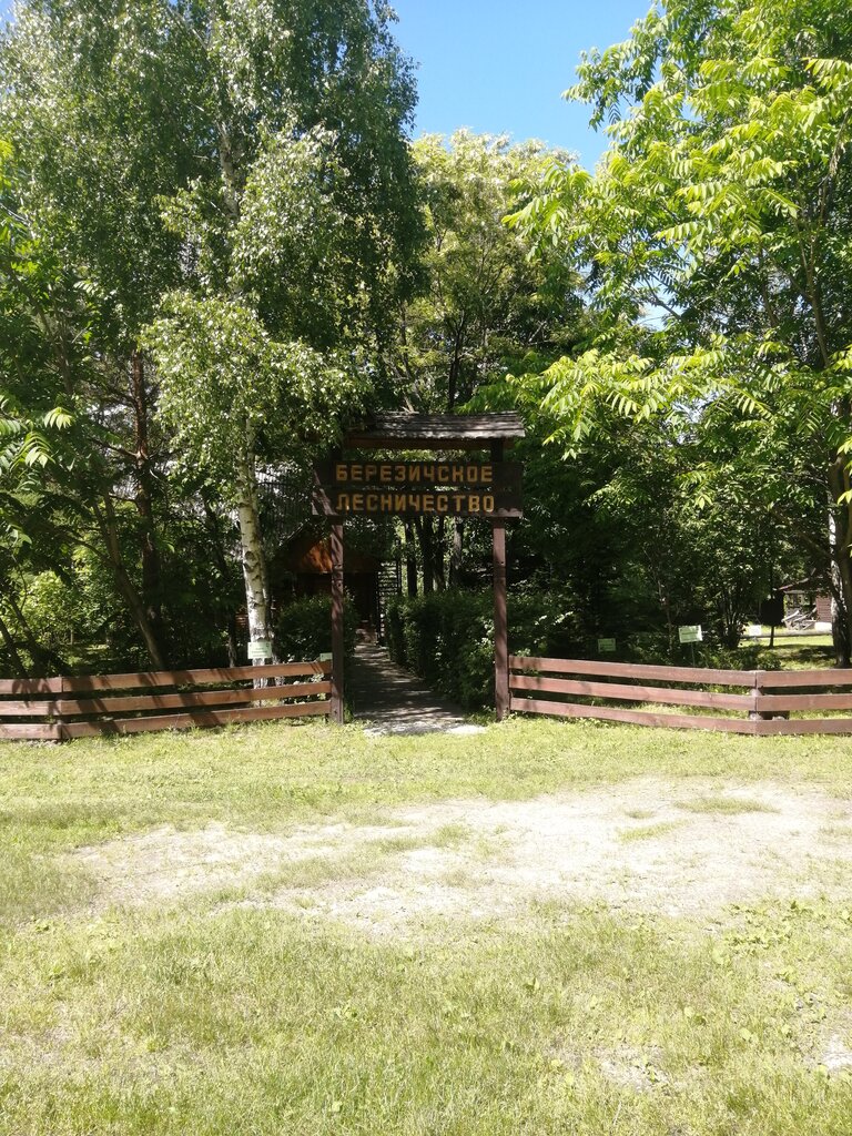 Giriş işareti Березичское лесничество, Kalujskaya oblastı, foto