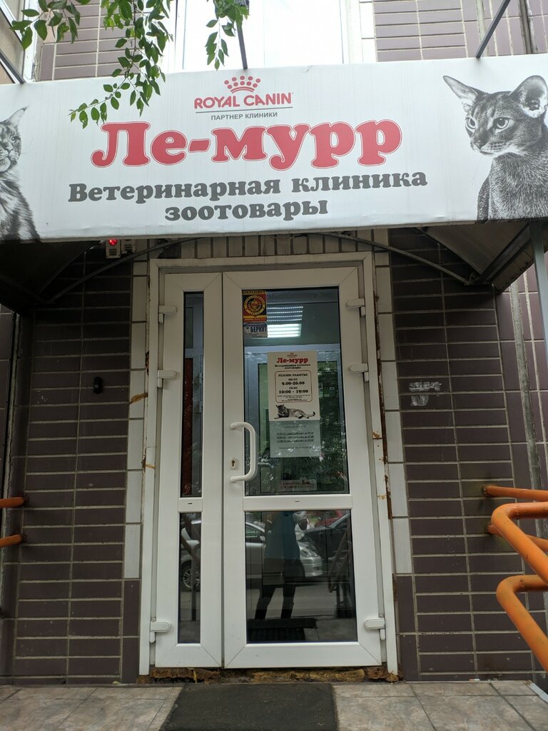 Petshop Le-murr, Krasnoyarsk, foto