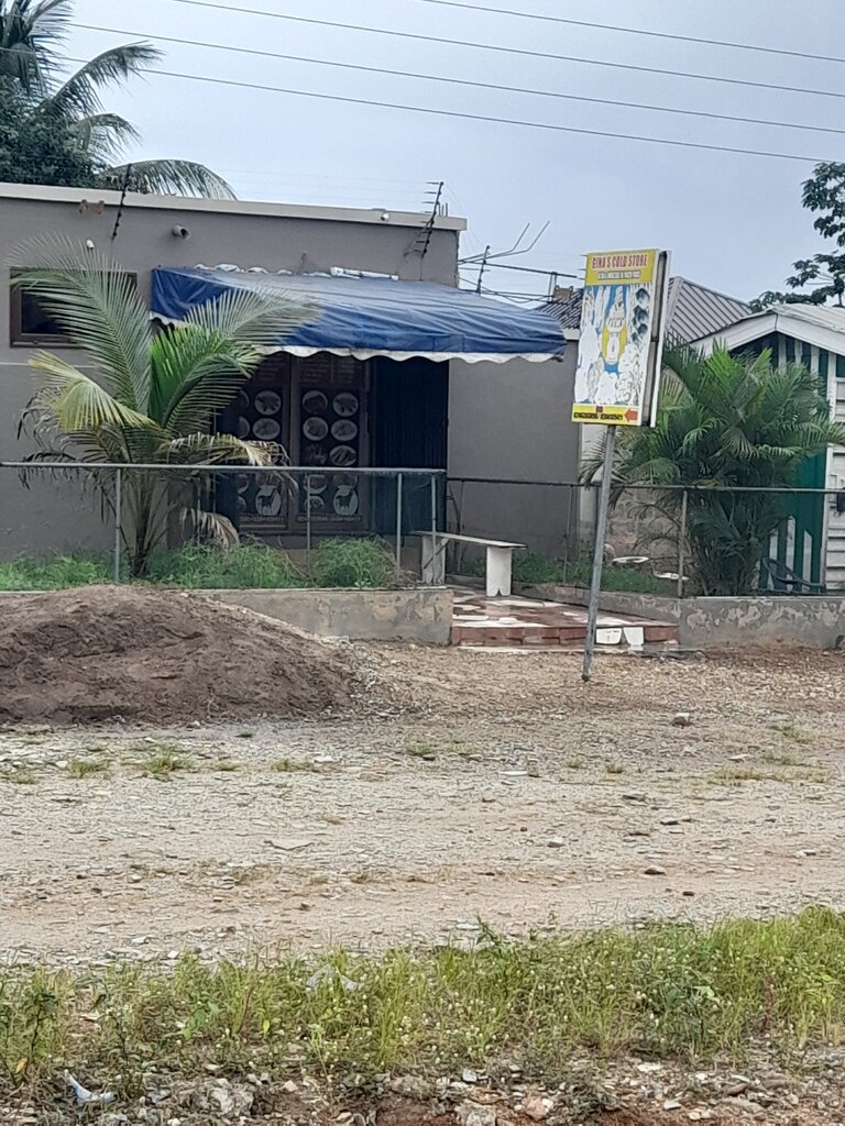 Dondurulmuş gıda firmaları Gina's cold store, Dünya, foto