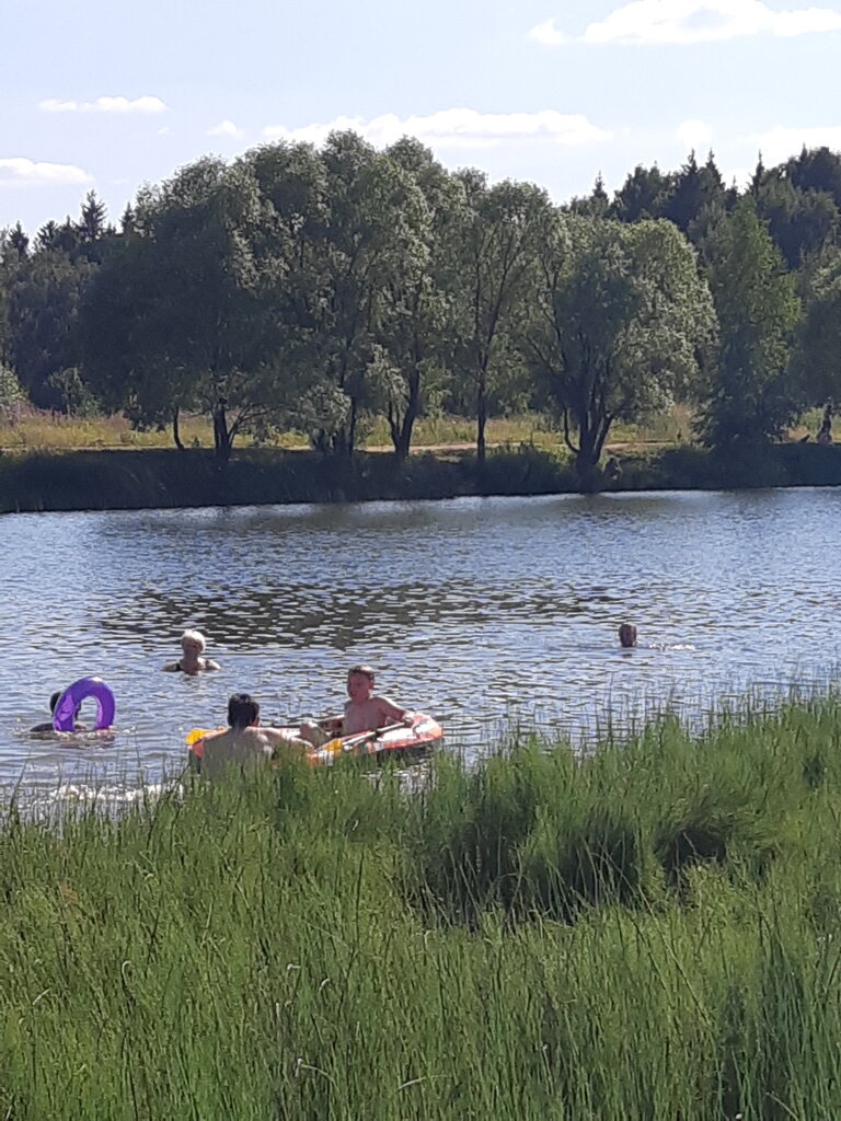 Pınar, çay Spring, stream, Moskova ve Moskovskaya oblastı, foto
