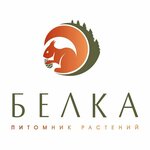 Садовый центр Белка (Moscow Region, 46N-09240), sera ve bahçe ürünleri  Moskova ve Moskovskaya oblastından