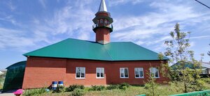 Мечеть (ulitsa Daricheva No:20, derevnya Malaya Shilna), cami  Tataristan'dan