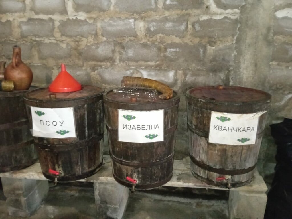 Şaraphane Винодельня, Gudauta Bölgesi, foto