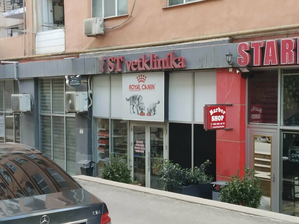 Veteriner klinikleri St vetklinika, Bakü, foto