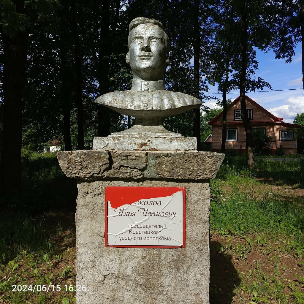 Anıt, heykel Председателю Крестецкого уездного исполкома И.И. Соколову, Novgorodskaya oblastı, foto