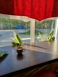 Бар (Sovetskaya ulitsa No:6, posyolok Lukovetskiy), bar  Arhangelskaya oblastından