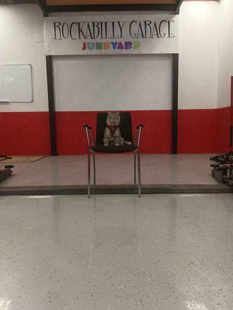 Otomobil camları Rockabilly Garage, Saint‑Petersburg, foto