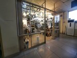 Люстра (Dyuishonkul Shopokov Street No:89), lamba ve avize mağazaları  Bişkek'ten