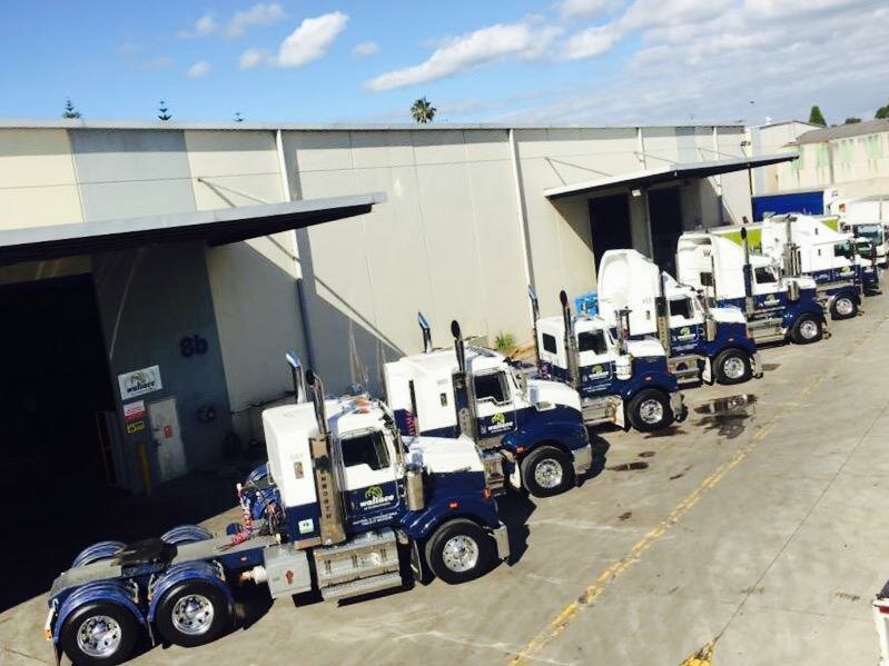 Finansal danışmanlık Wallace International Freight & Customs Brokers, Sidney, foto