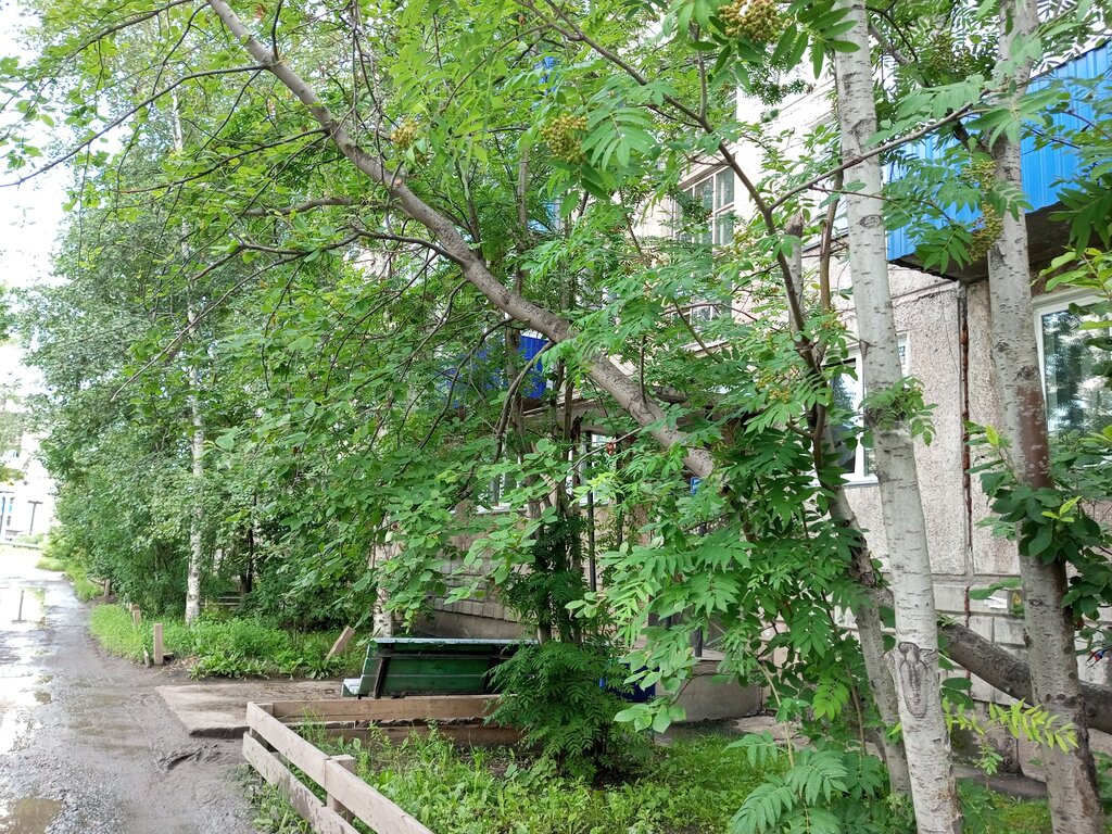 Elektrik servisi ProfMontazh, Ust‑Kut, foto