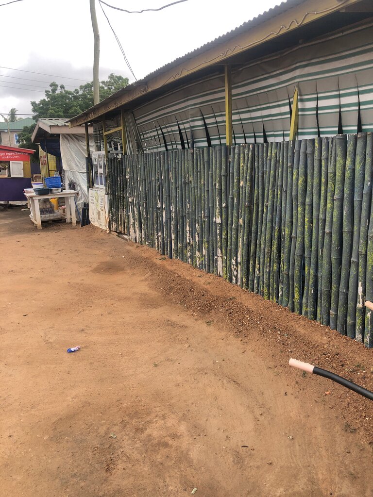 Bar Peace and Love, Dünya, foto