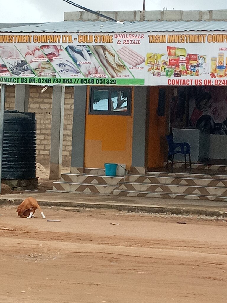 Soğuk hava tesisi Tasin investment company Ltd, Dünya, foto