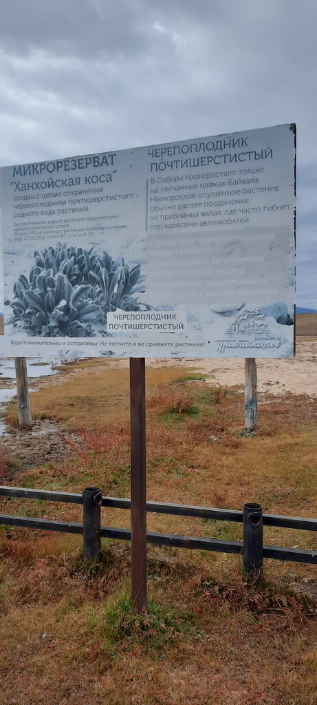 Dağ zirvesi Мыс Елгай, İrkutskaya oblastı, foto