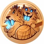 Beavers (ulitsa Rylenkova No:22А, Smolensk), oto yıkama  Smolensk'ten