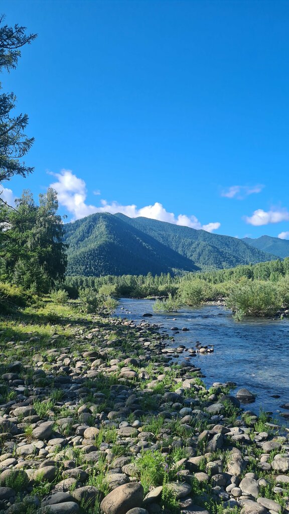Tatil köyleri Map Glamp, Altay Cumhuriyeti, foto