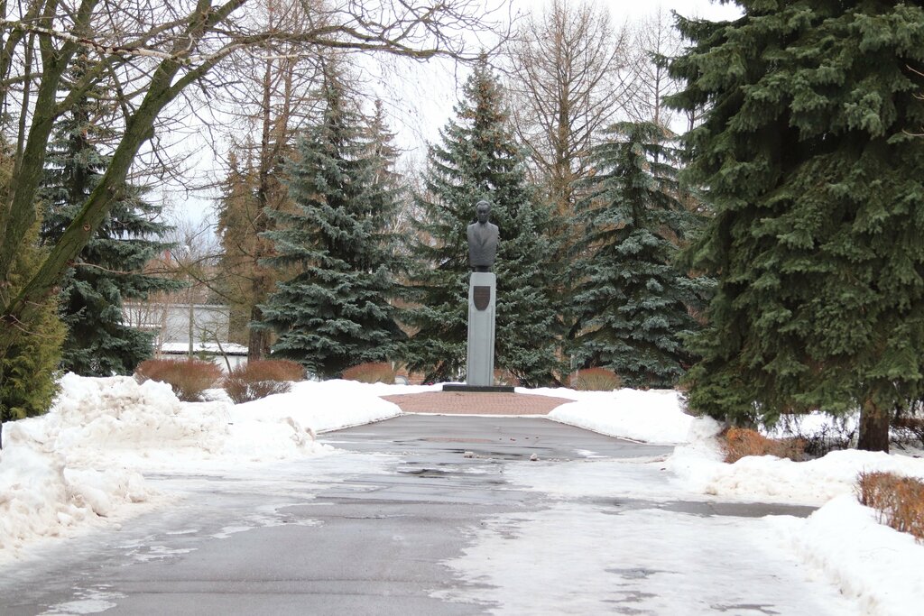Anıt, heykel B.I. Shavyrin, Kolomna, foto