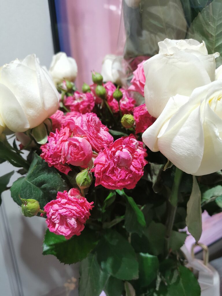 Çiçekçiler Цветы от Елены, Surgut, foto