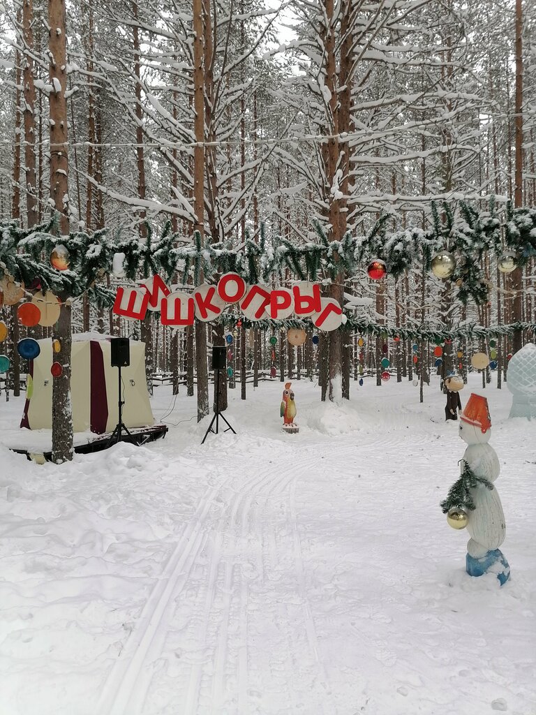 Kış ürünleri Шишкопрыг, Vologodskaya oblastı, foto