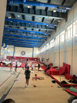 Gymnastic Hall (Alexandria), spor kulüpleri  İskenderiye'den