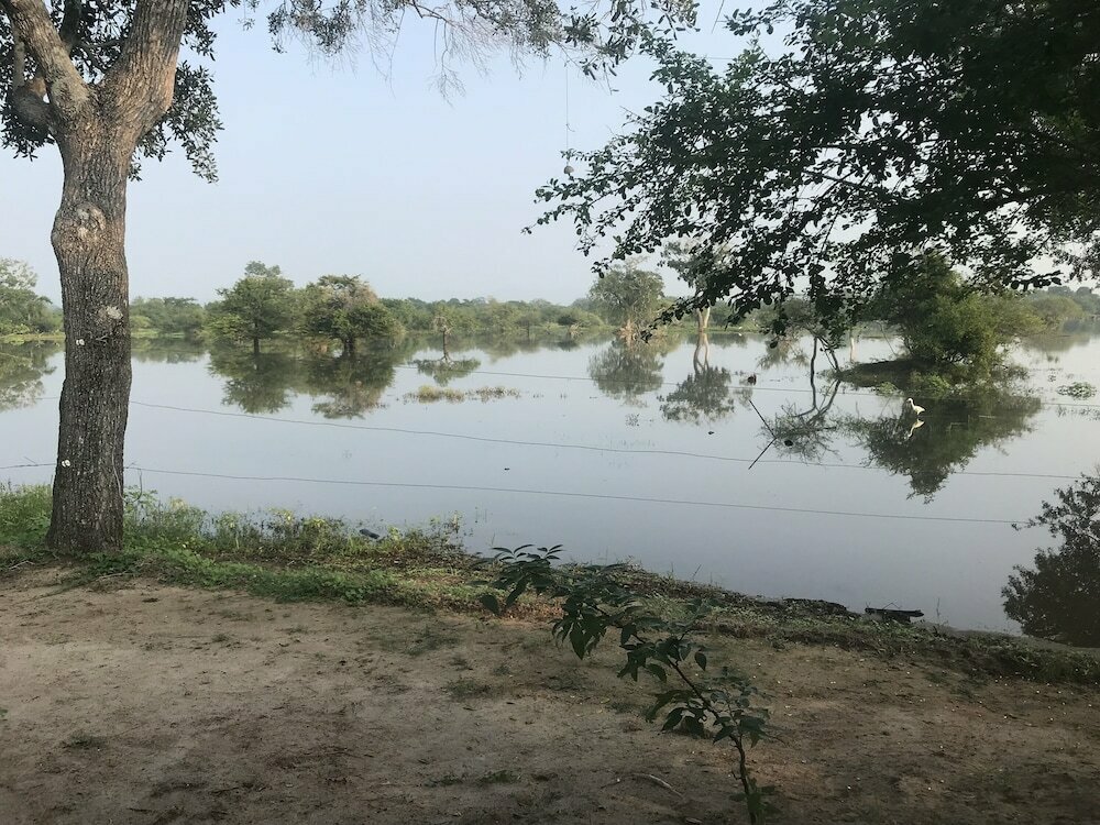 Otel Elephant Lake Yala, , foto