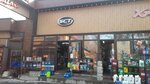 Sct shop (Namanganskaıa kóshesi No:51/2), yağlama ürünleri  Almatı'dan