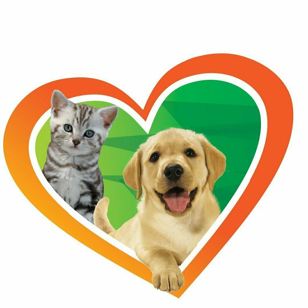 Petshop Zoolapka, Almatı, foto