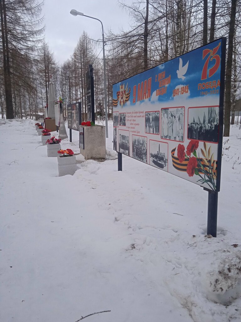 Anıt, heykel Мемориал Великой Отечественной войны, Arhangelskaya oblastı, foto