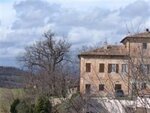 Agenzia Immobiliare Domus Aurea (Via Pellipario No:71, Urbino), emlak ofisi  Marche'den