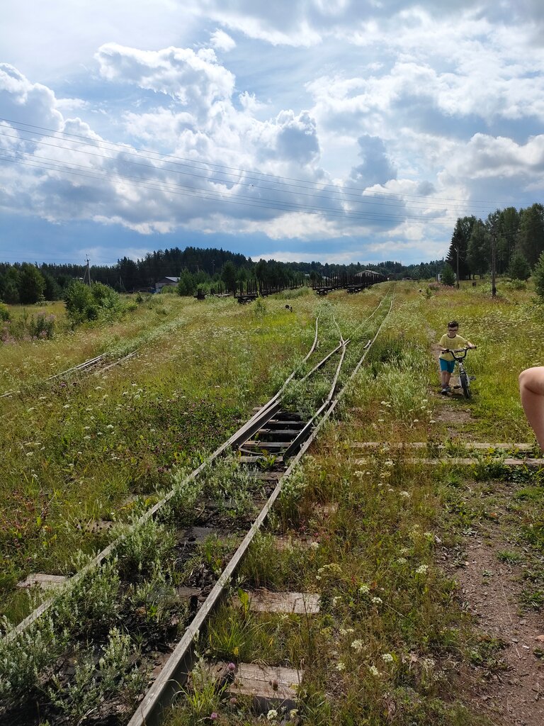 Yük istasyonu остановочный пункт Депо, Vologodskaya oblastı, foto