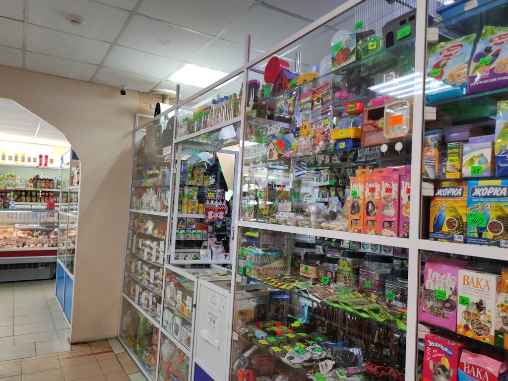 Petshop Zoomagazin, Çita, foto