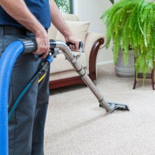 Halı yıkamacılar Clean Slate Carpet Cleaning, Washington Eyaleti, foto