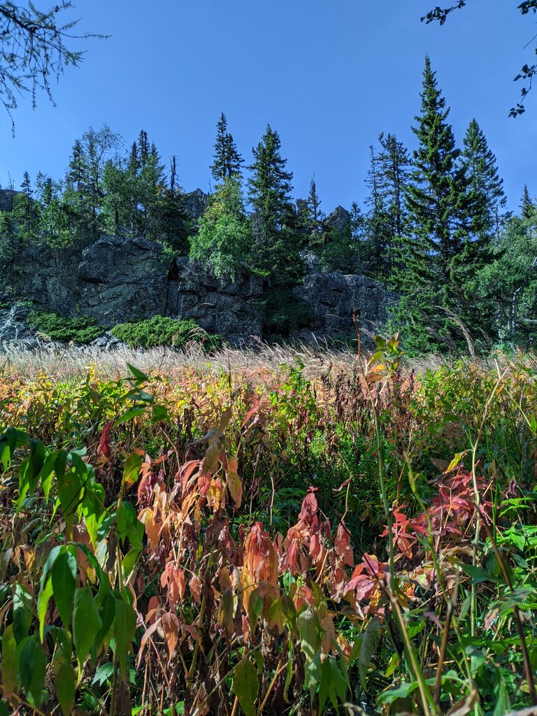 Dağ zirvesi Гора Малый Шаршалыбиик, Başkurdistan, foto