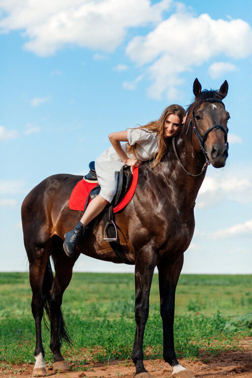 At ve binicilik kulüpleri Allure56, Orenburgskaya oblastı, foto