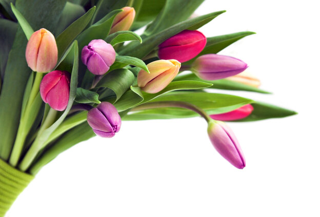 Çiçek teslimatı Le Gemelle Floral Designers, Puglia, foto